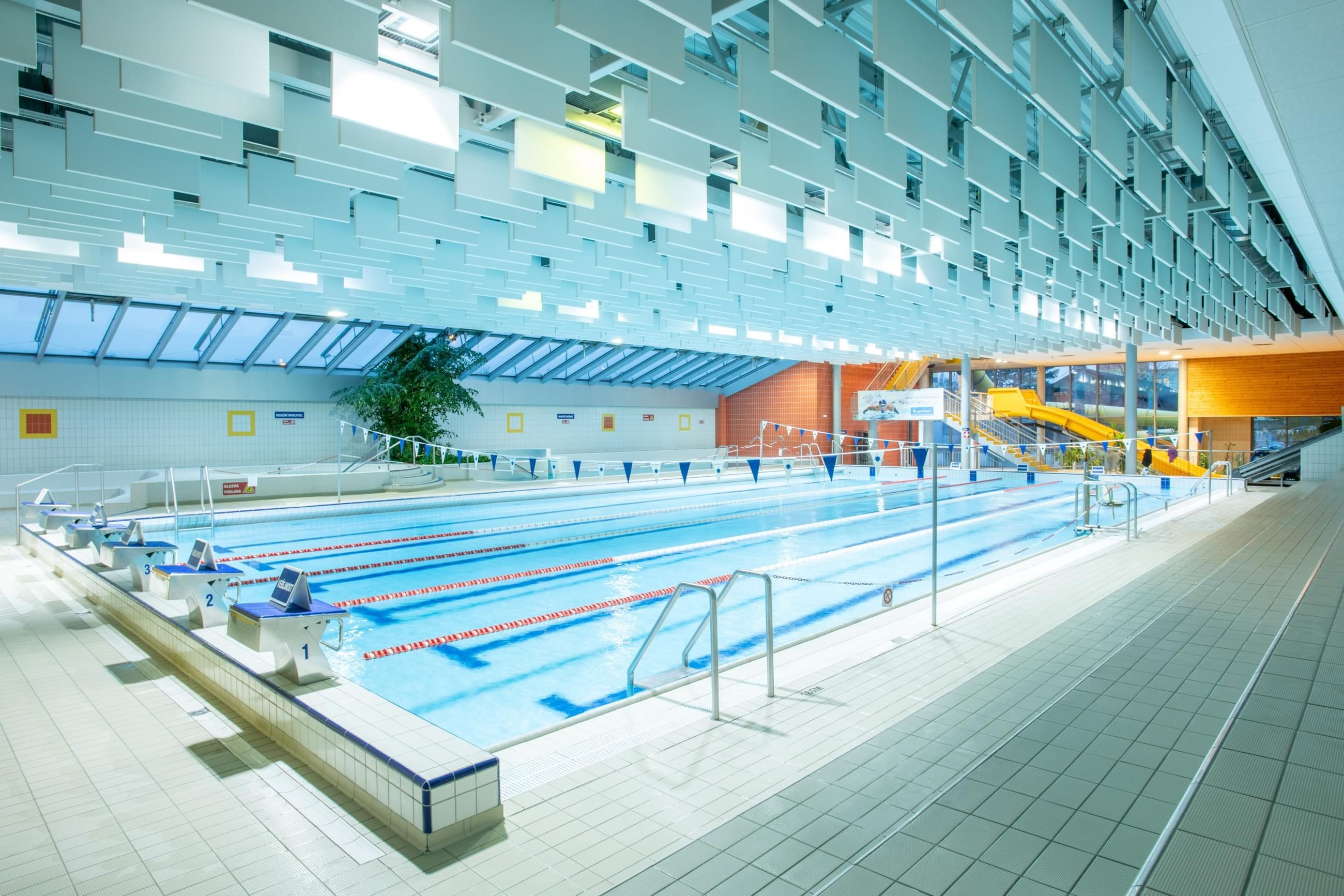 Plavecký bazén - Sport Česká Lípa, p.o.